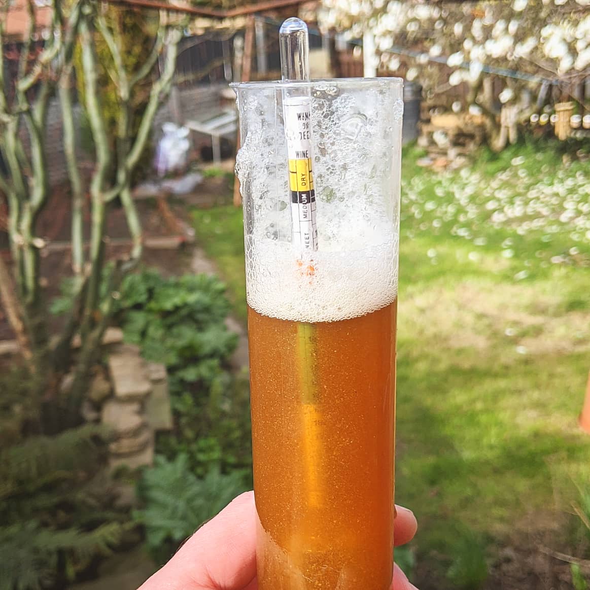 Nettle Top & Dandelion Flower Joose IPA – Homebrew Beer Recipe ...